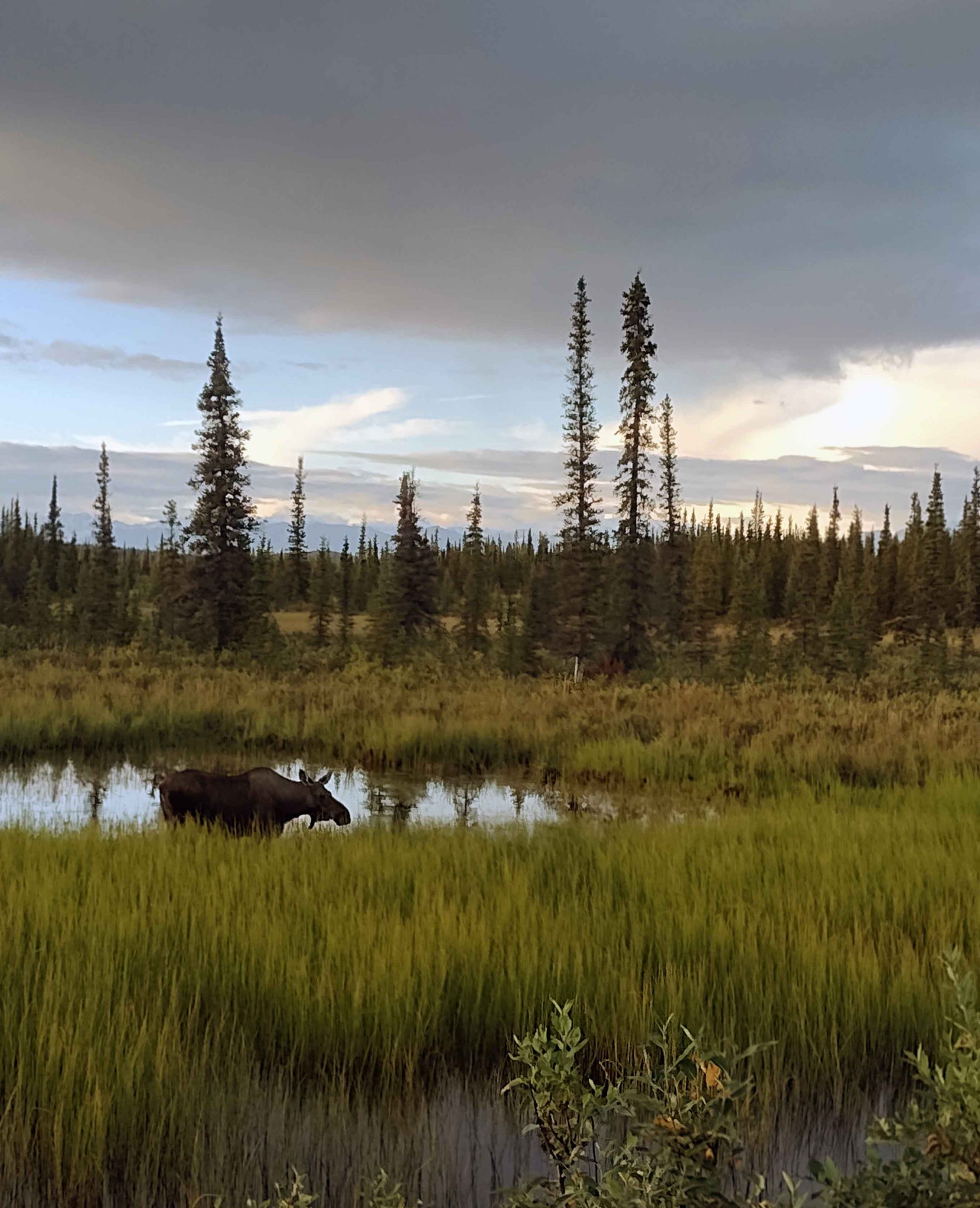 Day 68: Start of a Road Trip Back South – Traveler Fisherman