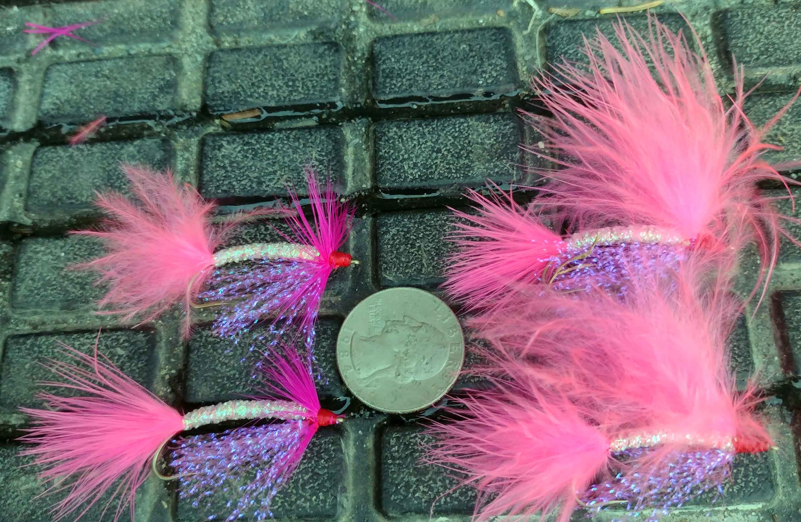 Day 76: I Fished. Really. With Gear On And Everything – Traveler Fisherman